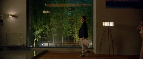 Parasite (2019) - Film Stills & Frames | StillsLab