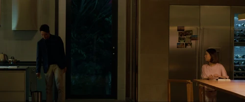 Parasite (2019) - Film Stills & Frames | StillsLab