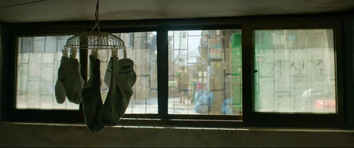 Parasite (2019) - Film Stills & Frames | StillsLab